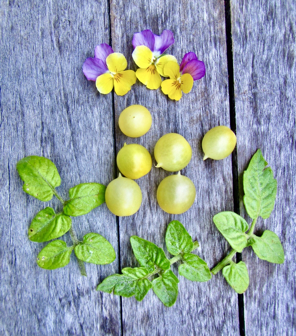 Tomato - Cherry Gold - Common Sense Seeds
